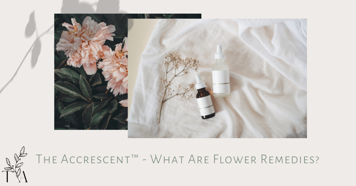 What Are Flower Remedies? - The Accrescent™