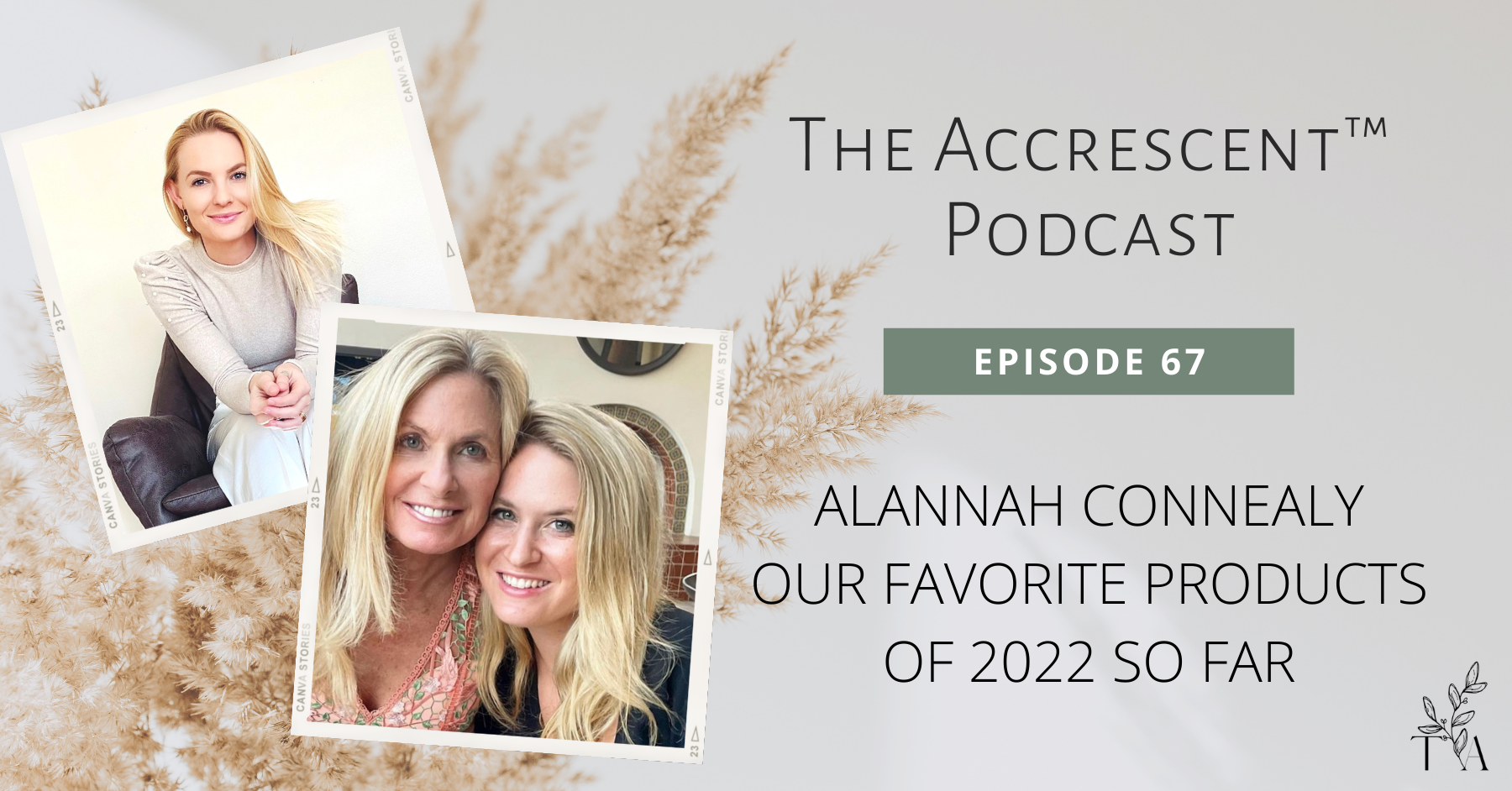 Podcast Ep. 67 - Alannah Connealy - Our Favorite Products of 2022 So ...