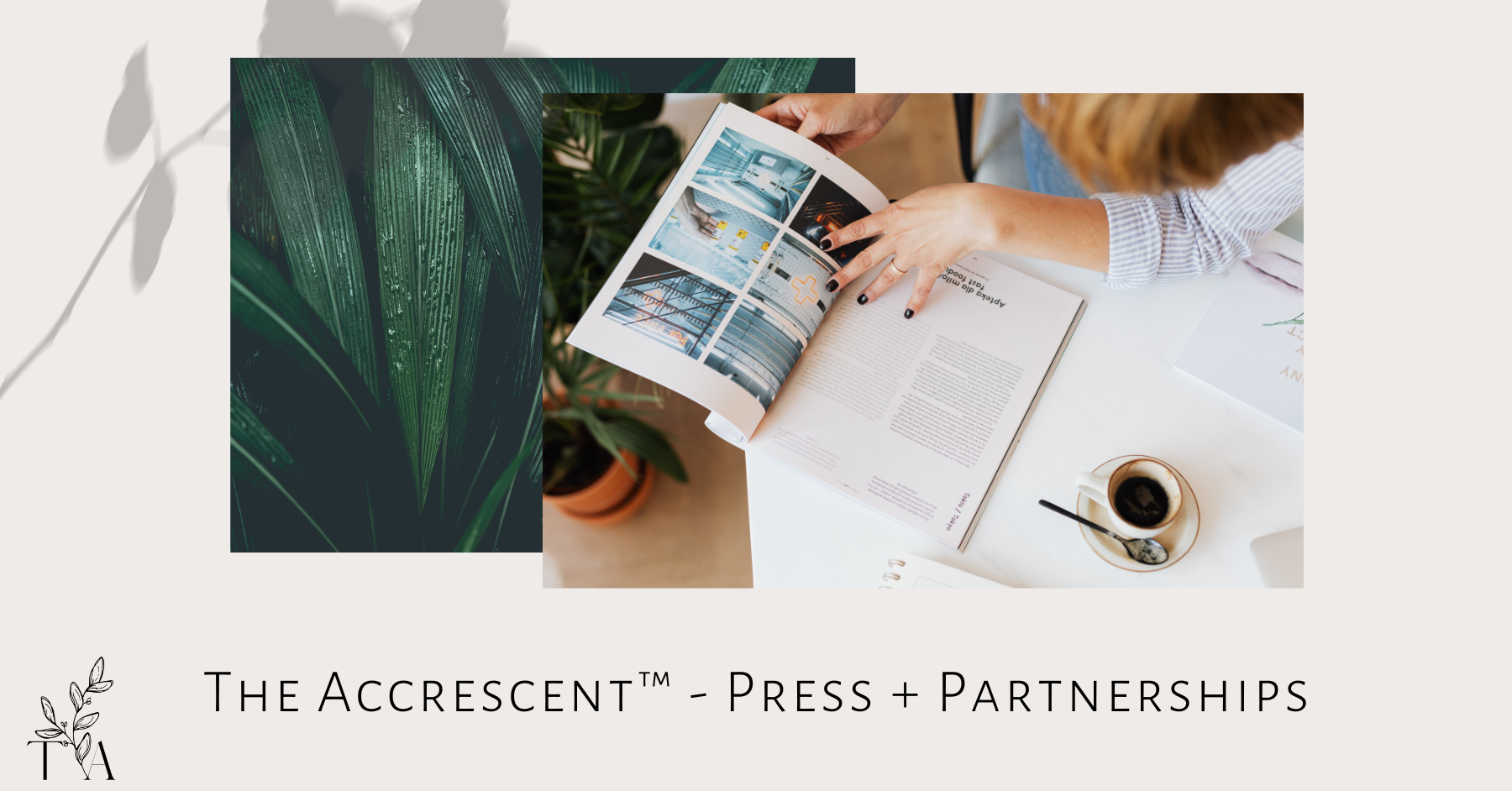 Press - The Accrescent™
